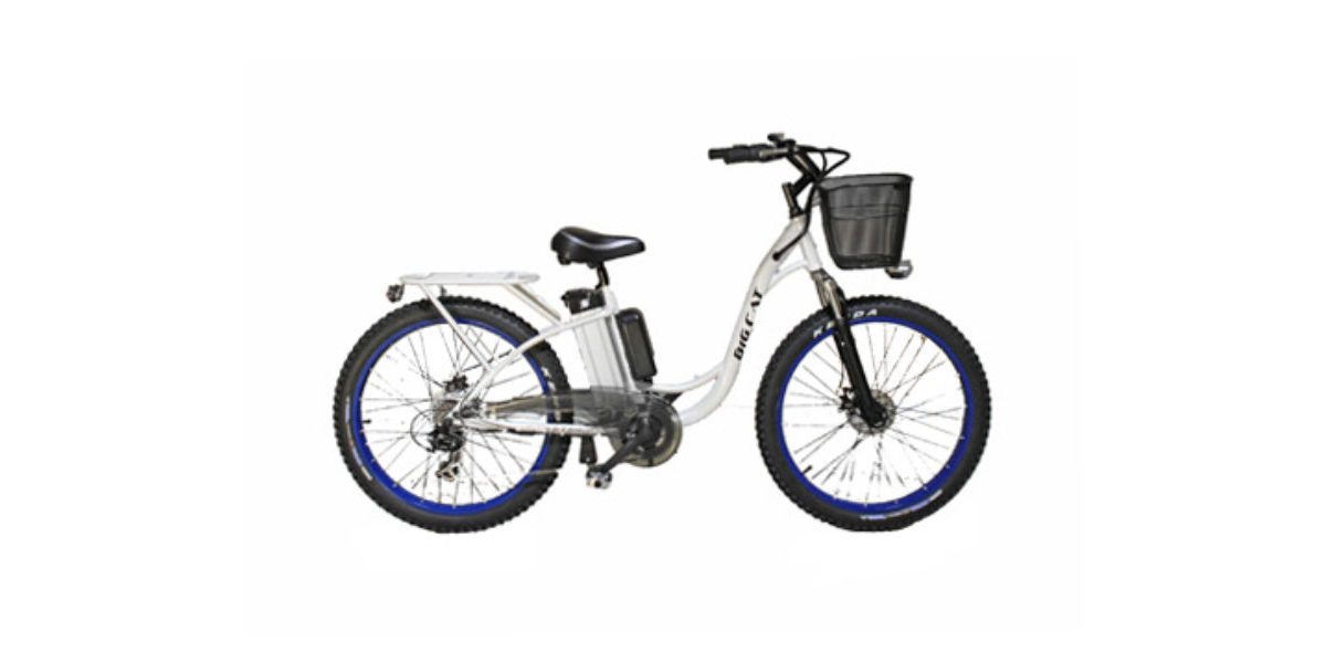 Big Cat Long Beach Cruiser Reviews - Big Cat Long Beach Cruiser Price ...