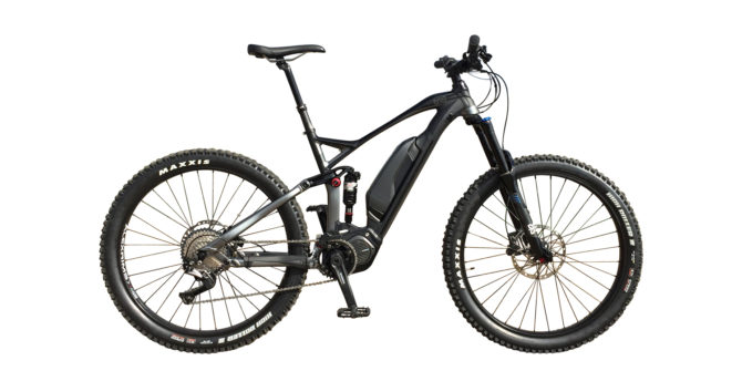 Pedego Reviews | EBR