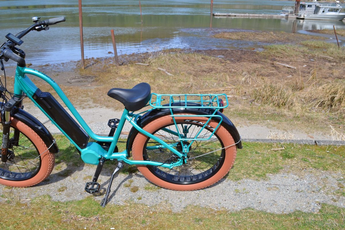 Biktrix Stunner-X Review | ElectricBikeReview.com