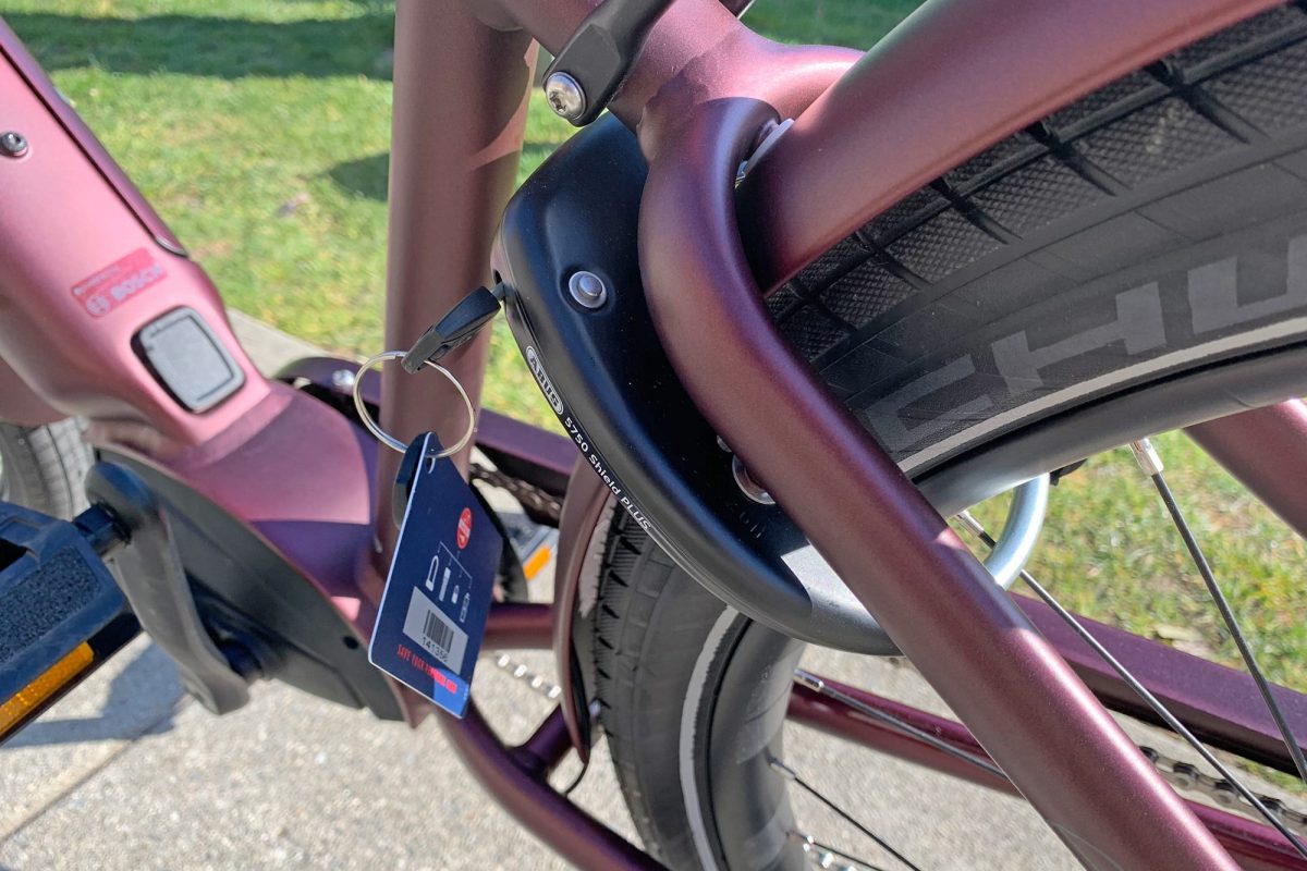 Electra Townie Path Go! 10D EQ Review | ElectricBikeReview.com