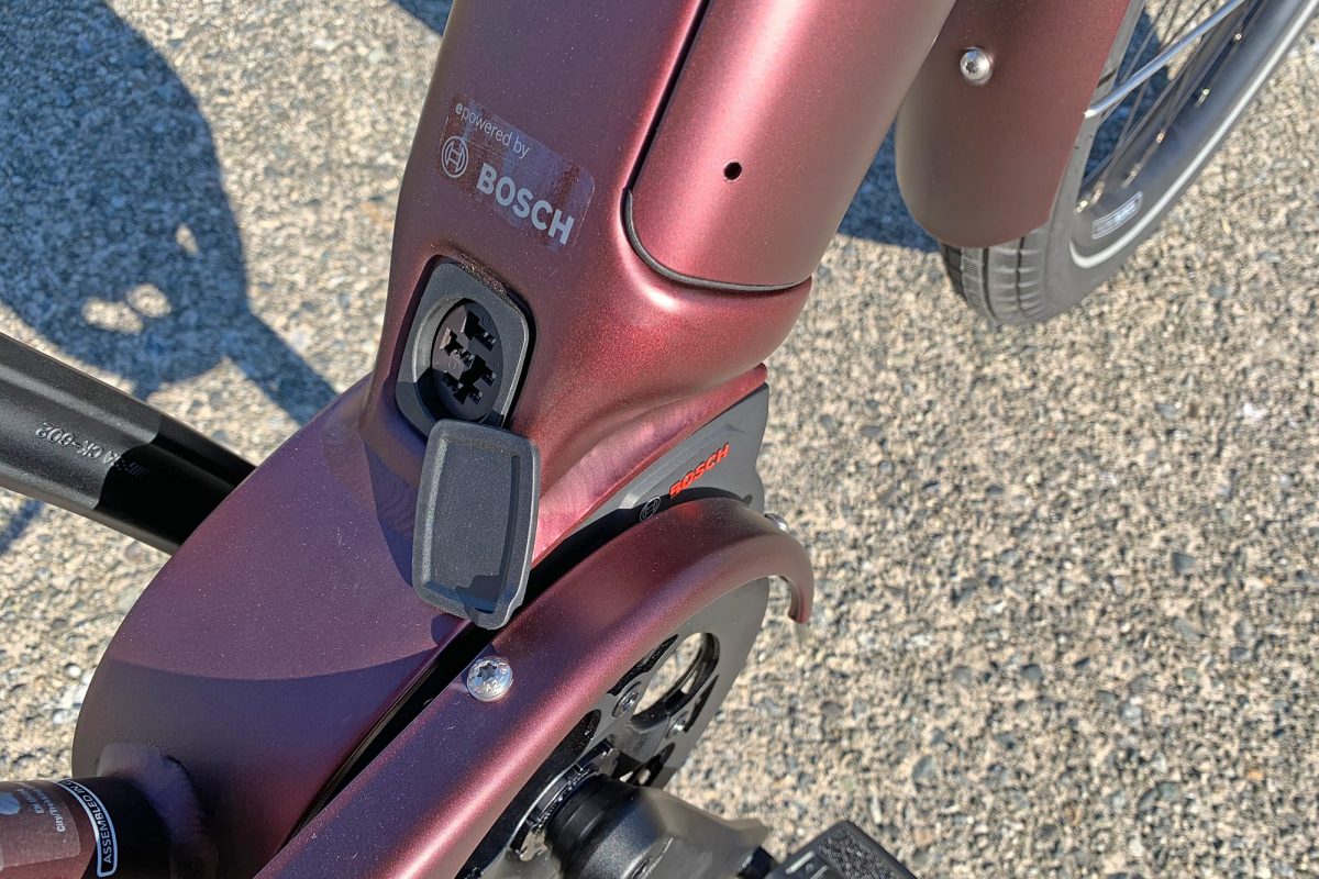 Electra Townie Path Go! 10D EQ Review | ElectricBikeReview.com