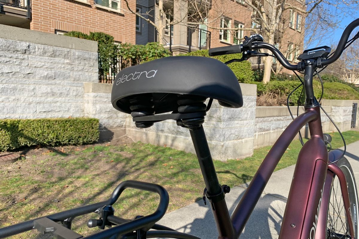 Electra Townie Path Go! 10D EQ Review | ElectricBikeReview.com