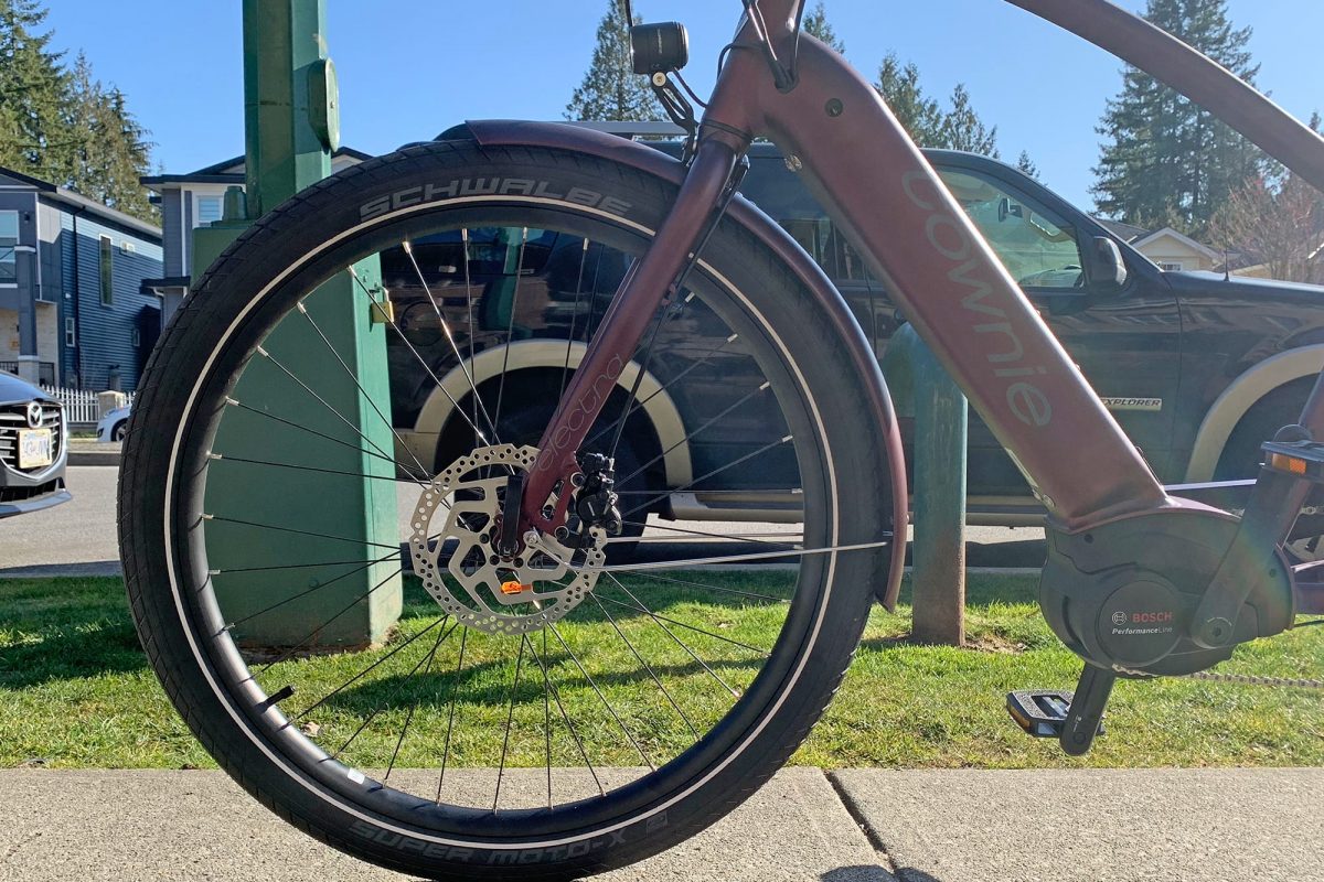 Electra Townie Path Go! 10D EQ Review | ElectricBikeReview.com