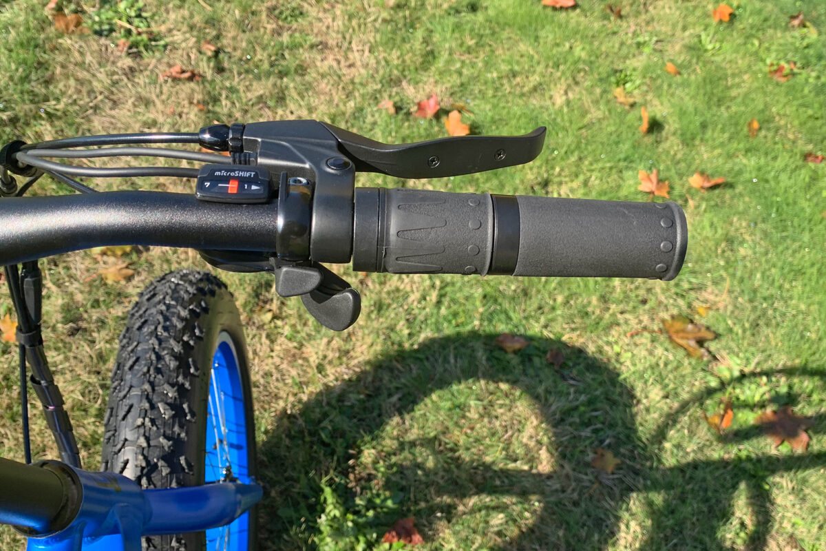 Pedego Element Review
