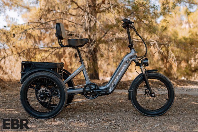 Best Electric Trikes for Adults, 2026